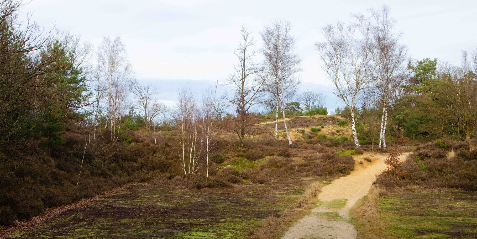 National Park Trail 110 km long-distance hike | Leef je natuur